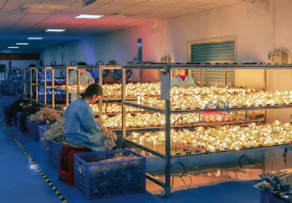 UV point light source_point light source lamp_point light source ...